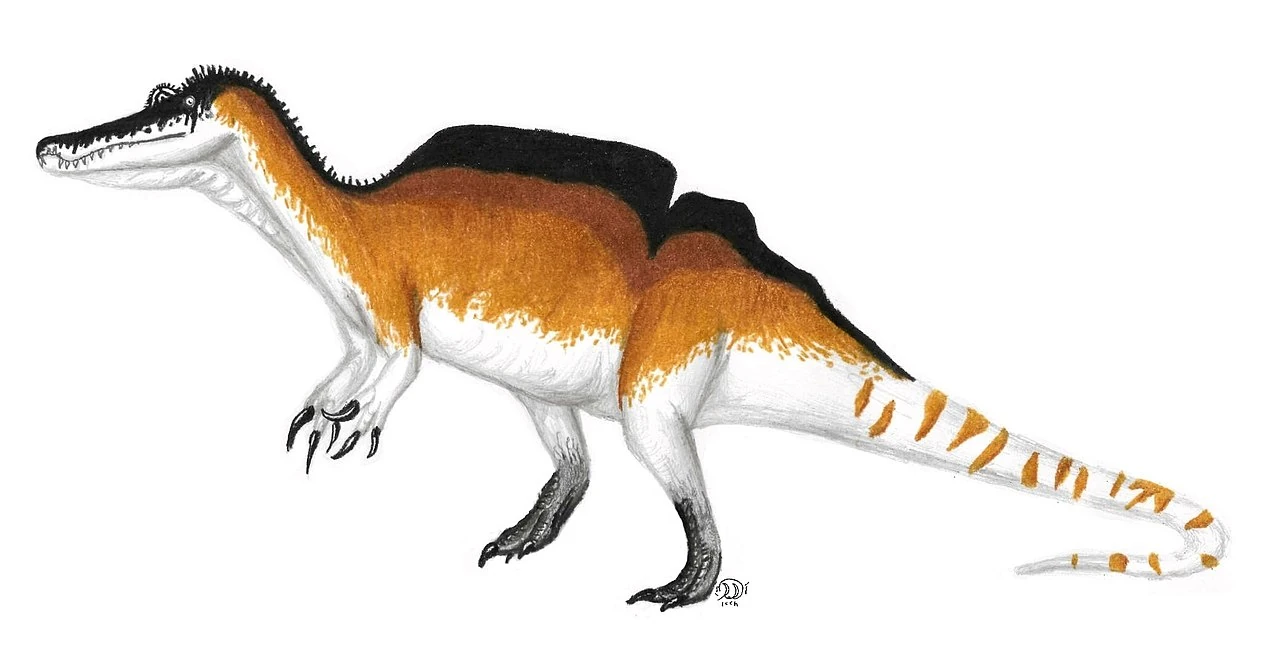 Siamosaurus Skeleton
