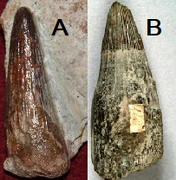 Siamosaurus | PPBA Wiki | Fandom