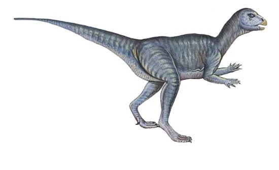 Abrictosaurus | PPBA Wiki | Fandom