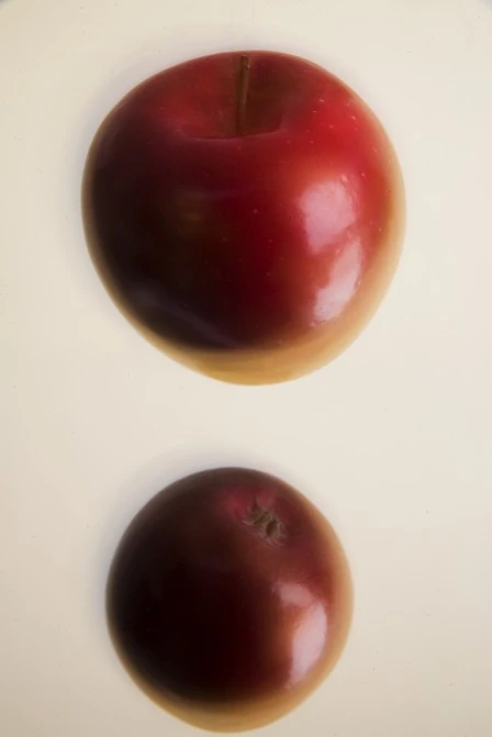 Antigravity Apple | PPC Wiki | Fandom