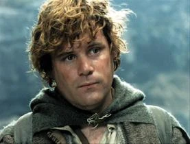 Samwise Gamgee | PPC Wiki | Fandom