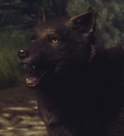 Garm | PPL Lore Wiki | Fandom