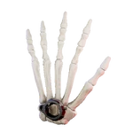 Cosmetics/Hands | Poppy Playtime Wiki | Fandom