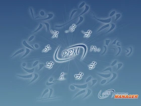 PowerPlay Manager Wiki | Fandom