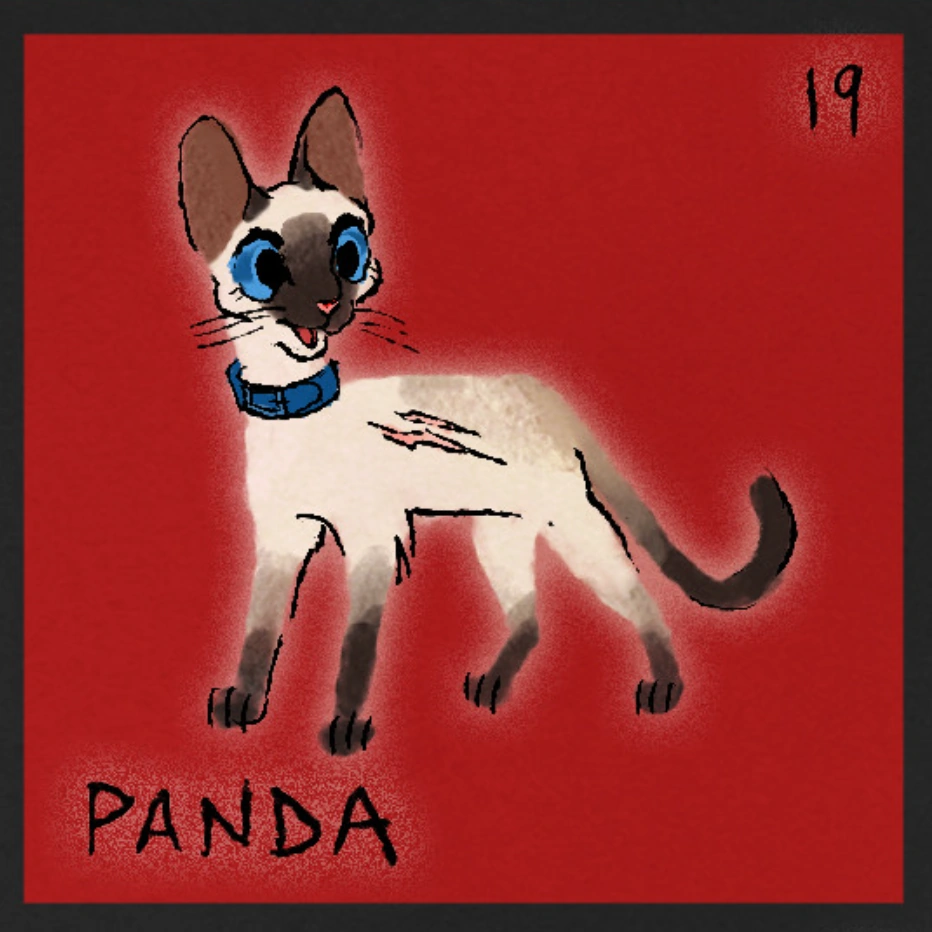 Panda | PPWC Wiki | Fandom