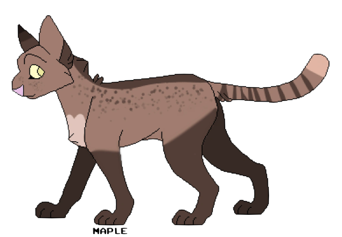 Rowanpaw | PPWC Wiki | Fandom
