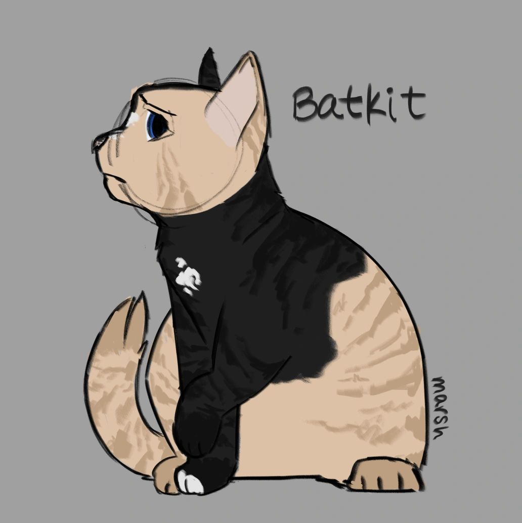 Batkit | PPWC Wiki | Fandom