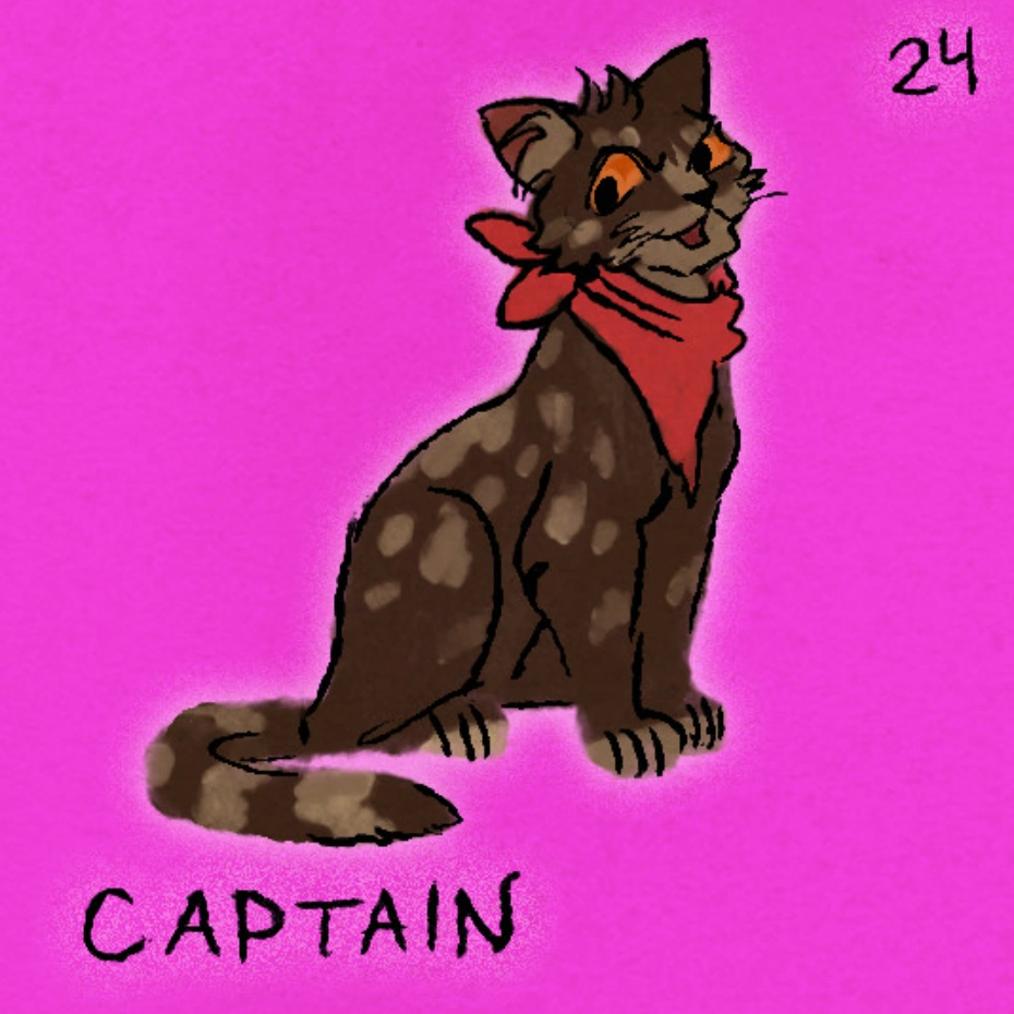Captain | PPWC Wiki | Fandom
