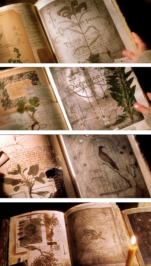 Grimoire | Practical Magic Wiki | Fandom