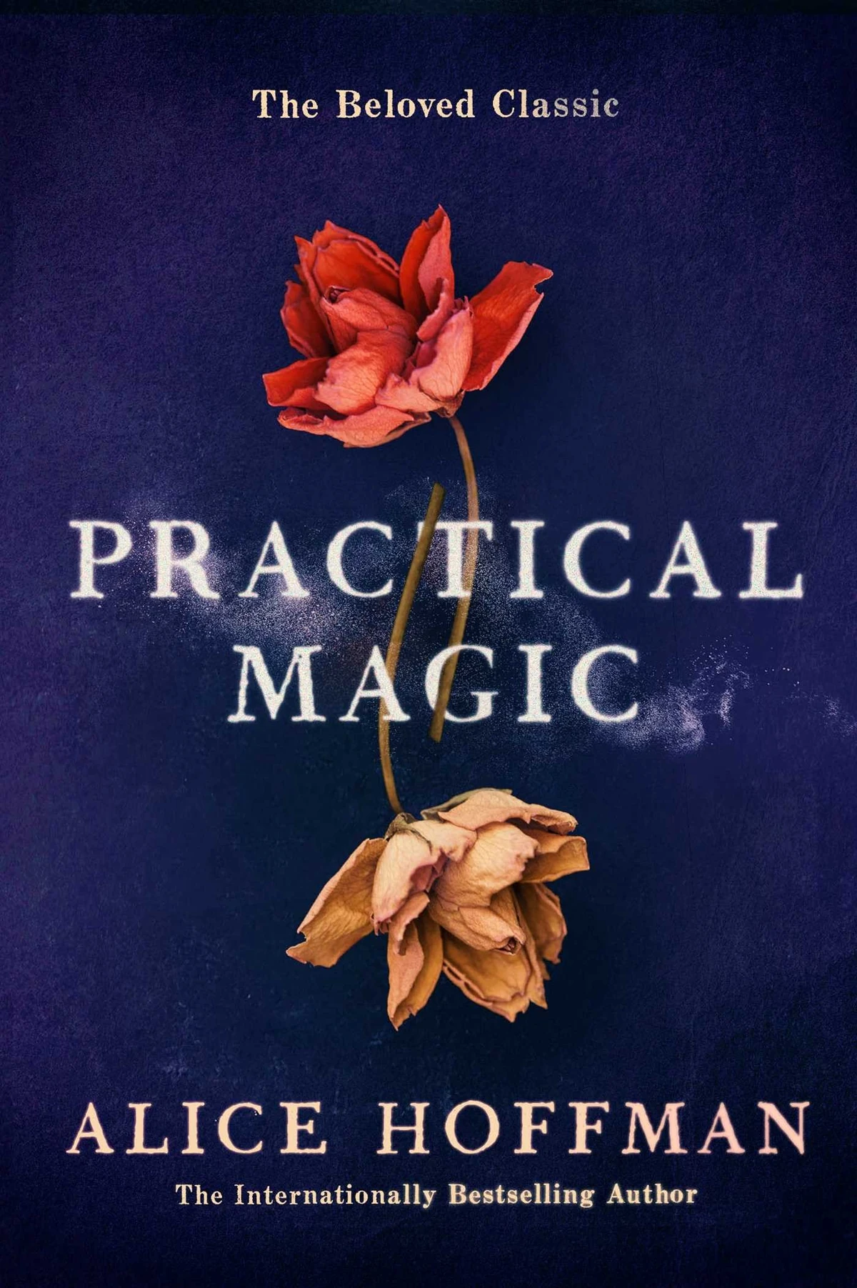 Practical Magic (novel) | Practical Magic Wiki | Fandom