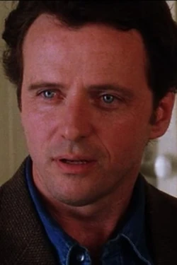 Aidan Quinn Practical Magic