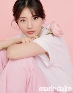 Bae Suzy | Asian Drama Wiki | Fandom