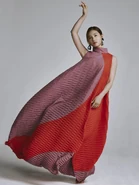 Tsuchiya Tao | Asian Drama Wiki | Fandom