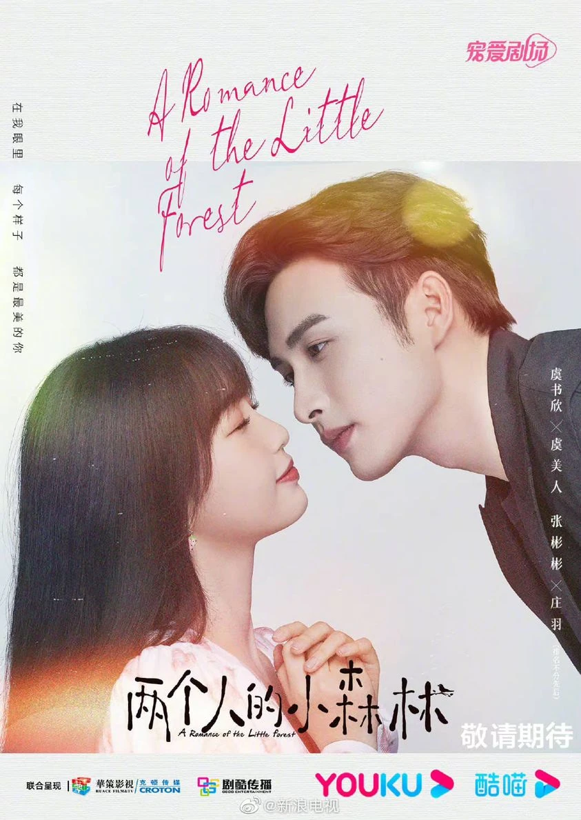 A Romance of the Little Forest | Asian Drama Wiki | Fandom