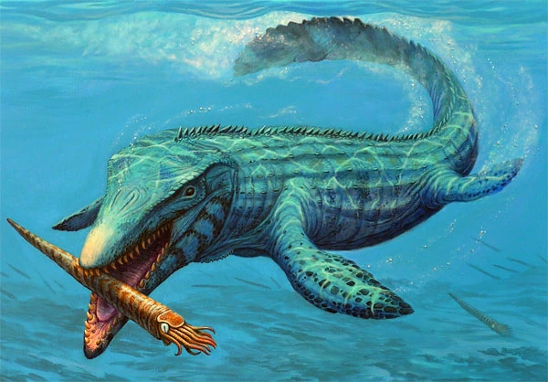 Mosasaurus | Prähistorische Lebewesen und Erdzeitalter Wiki | Fandom