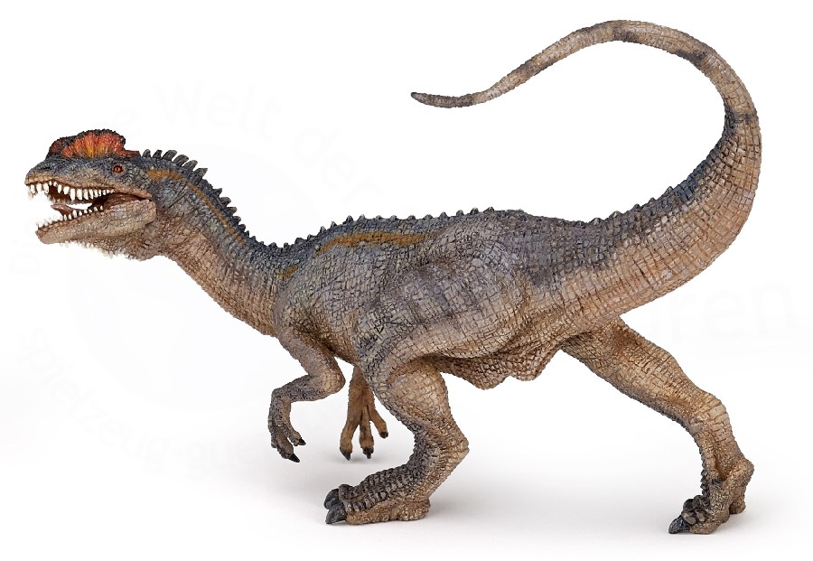 Dilophosaurus | Prähistorische Lebewesen und Erdzeitalter Wiki | Fandom Dilophosaurus | Prähistorische Lebewesen und Erdzeitalter Wiki | Fandom