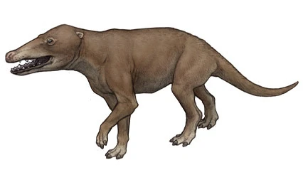 Pakicetus | Prähistorische Lebewesen und Erdzeitalter Wiki | Fandom