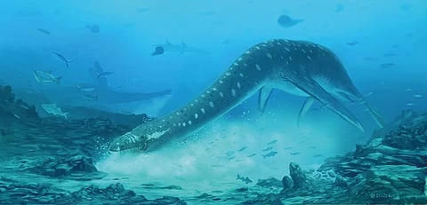 Seeleyosaurus | Prähistorische Lebewesen und Erdzeitalter Wiki | Fandom