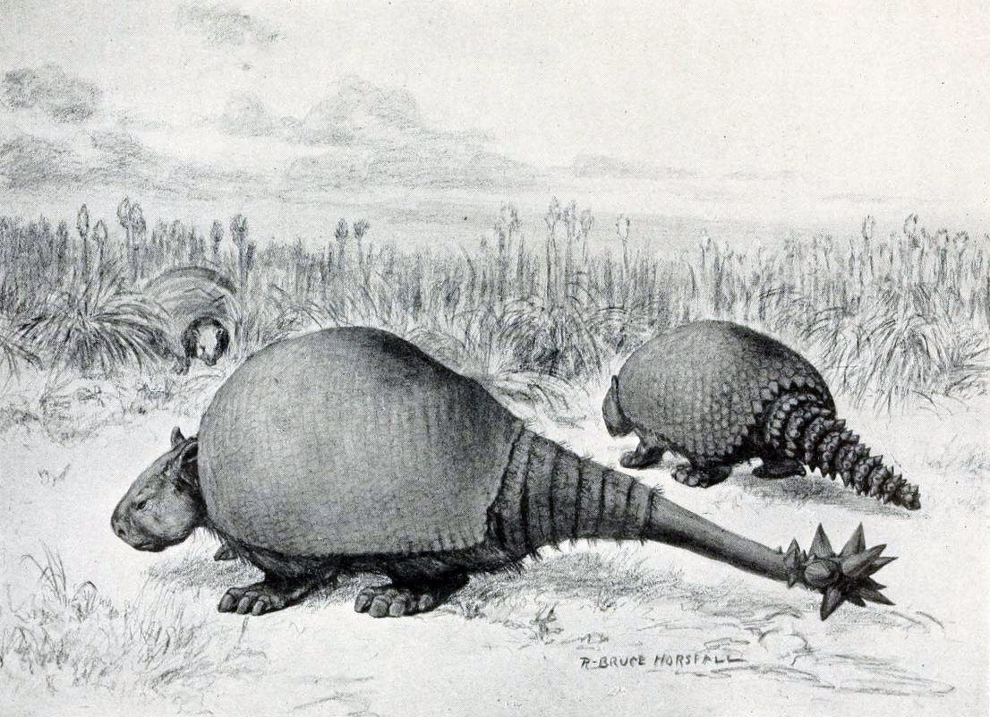 Doedicurus | Prähistorische Lebewesen und Erdzeitalter Wiki | Fandom Doedicurus | Prähistorische Lebewesen und Erdzeitalter Wiki | Fandom