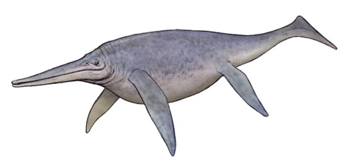 Shastasaurus | Prähistorische Lebewesen und Erdzeitalter Wiki | Fandom