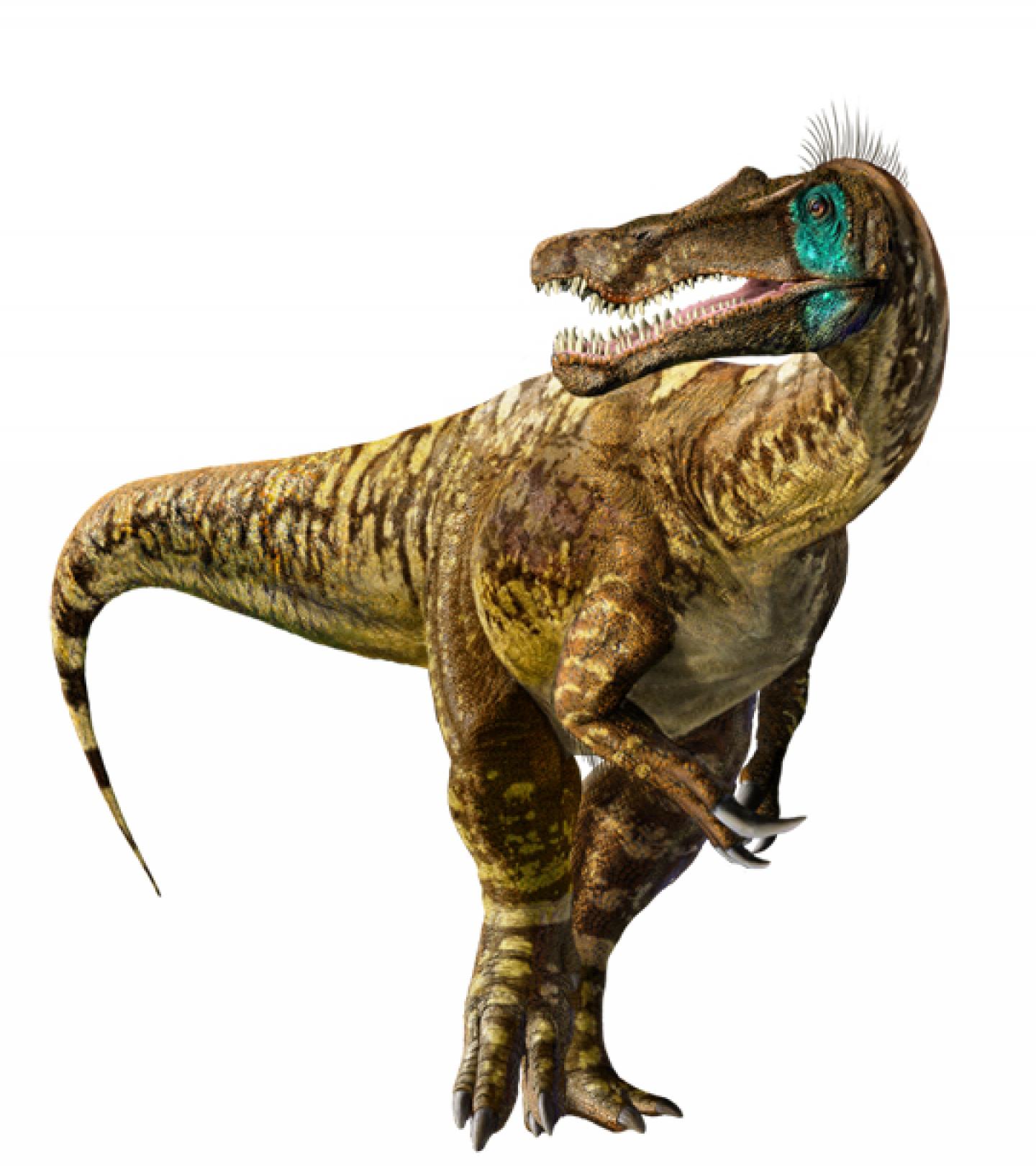 Baryonyx | Prähistorische Lebewesen und Erdzeitalter Wiki | Fandom Baryonyx | Prähistorische Lebewesen und Erdzeitalter Wiki | Fandom