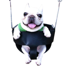 Pibbles | PrAi Wiki | Fandom