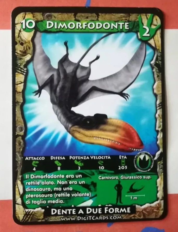 Dimorphodon | Predasaurs Wiki | Fandom