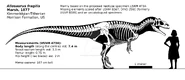 Allosaurus | Prehistoria Wiki | Fandom
