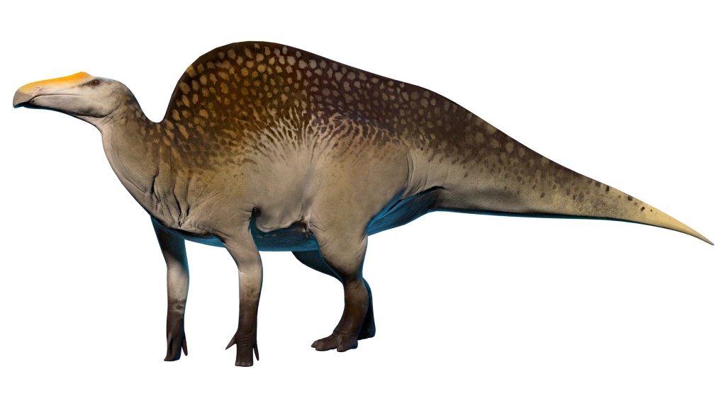 Ouranosaurus | Prehistoric Animals Wiki | Fandom