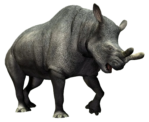 Brontotherium | Prehistoric Animals Wiki | Fandom