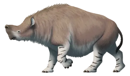 Embolotherium | Prehistoric Animals Wiki | Fandom