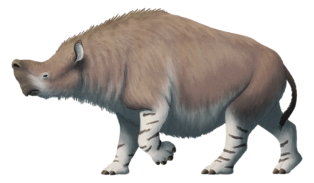 Embolotherium Skeleton