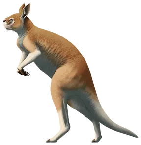 Procoptodon | Prehistoric Animals Wiki | Fandom