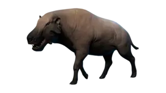 Entelodon | Prehistoric Animals Wiki | Fandom