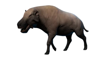 Entelodon | Prehistoric Animals Wiki | Fandom