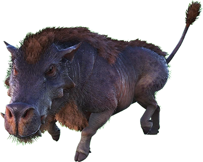 Daeodon | Prehistoric Animals Wiki | Fandom