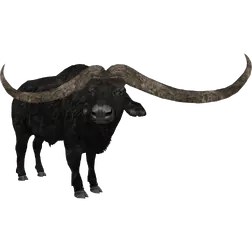 Pelorovis | Prehistoric Animals Wiki | Fandom