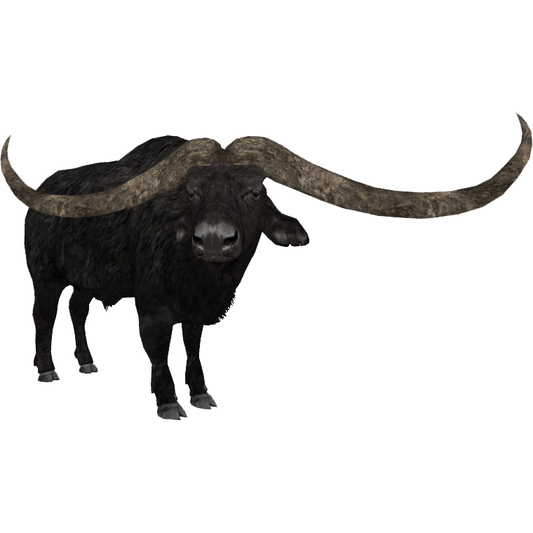 Pelorovis | Prehistoric Animals Wiki | Fandom