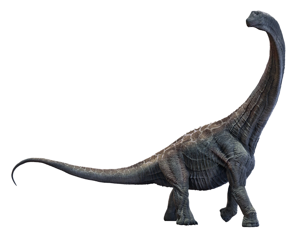 Barosaurus | Prehistoric Animals Wiki | Fandom