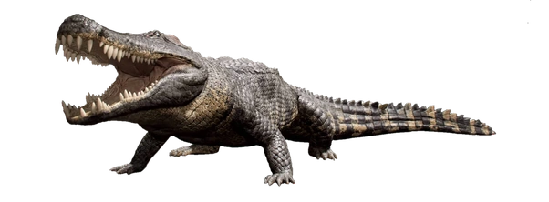 Deinosuchus | Prehistoric Animals Wiki | Fandom