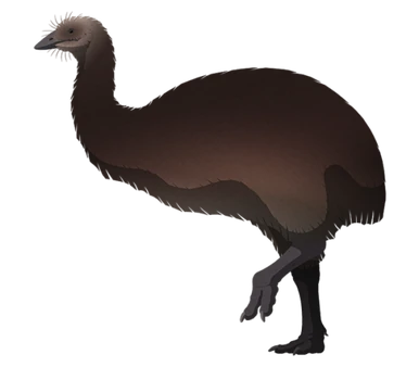 Elephant Bird | Prehistoric Animals Wiki | Fandom