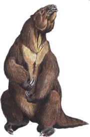 Megatherium | Prehistoric Animals Wiki | Fandom
