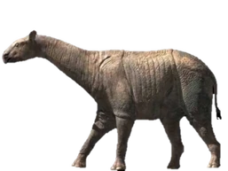Paraceratherium | Prehistoric Animals Wiki | Fandom