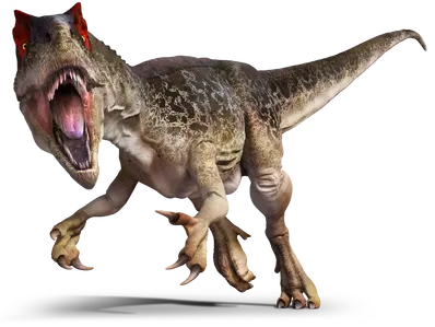 Allosaurus | Prehistoric Animals Wiki | Fandom