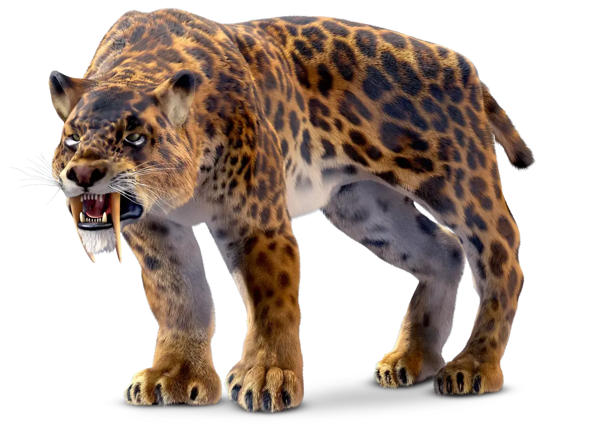 Smilodon | Prehistoric Dinosaurs Wiki | Fandom