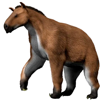 Moropus | Prehistoric Dinosaurs Wiki | Fandom