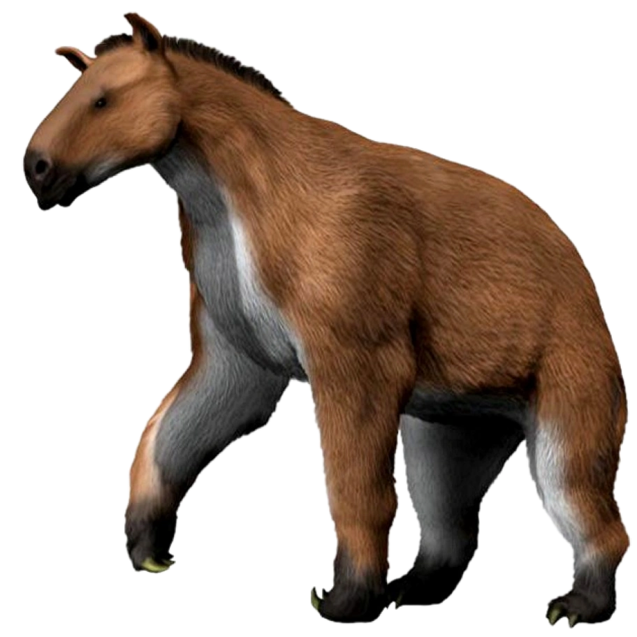 Moropus | Prehistoric Dinosaurs Wiki | Fandom