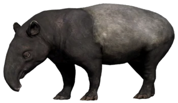Megatapirus | Prehistoric Dinosaurs Wiki | Fandom