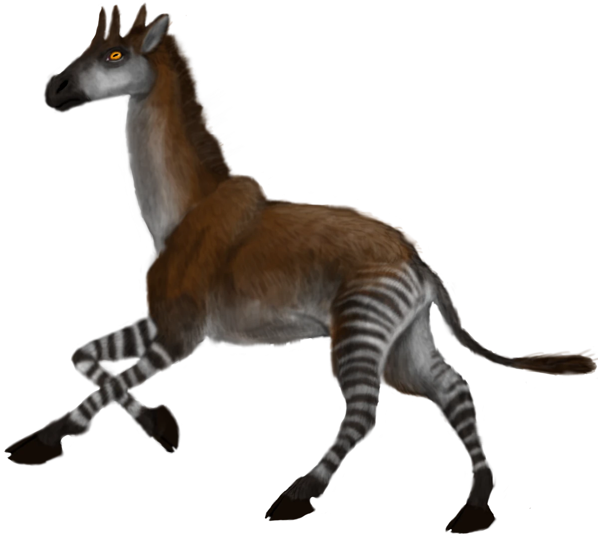 Palaeotragus | Prehistoric Dinosaurs Wiki | Fandom