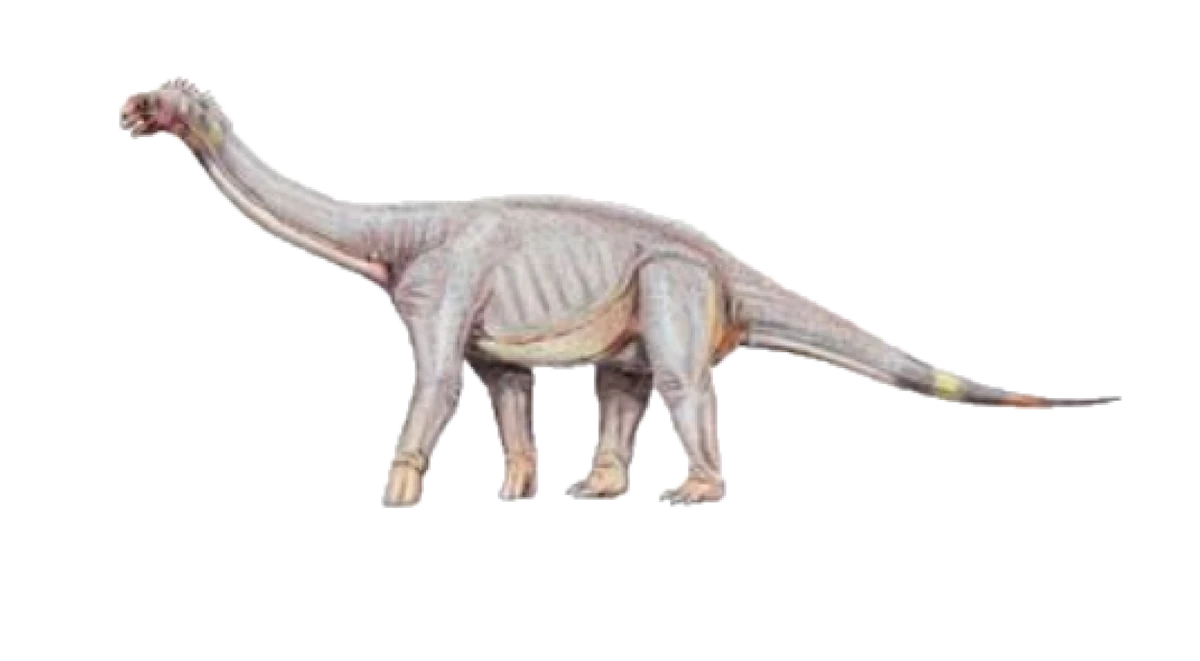 Astrodon | Prehistoric Dinosaurs Wiki | Fandom